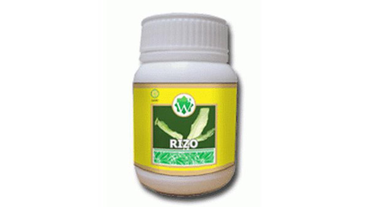 Rizo, Suplemen Kesehatan Wanita Pada Saat Menopause