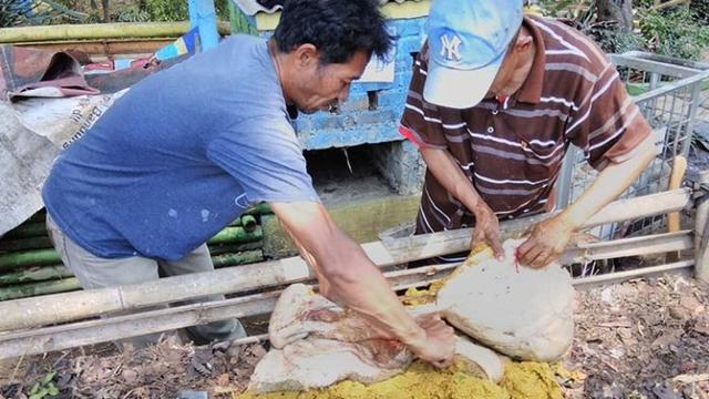 9 Manfaat Kompos Bagi Kehidupan, Tingkatkan Struktur Tanah dan ...