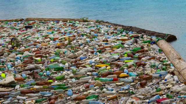 Jenis Sampah Yang Harus Diketahui Bisa Bantu Atasi Pencemaran