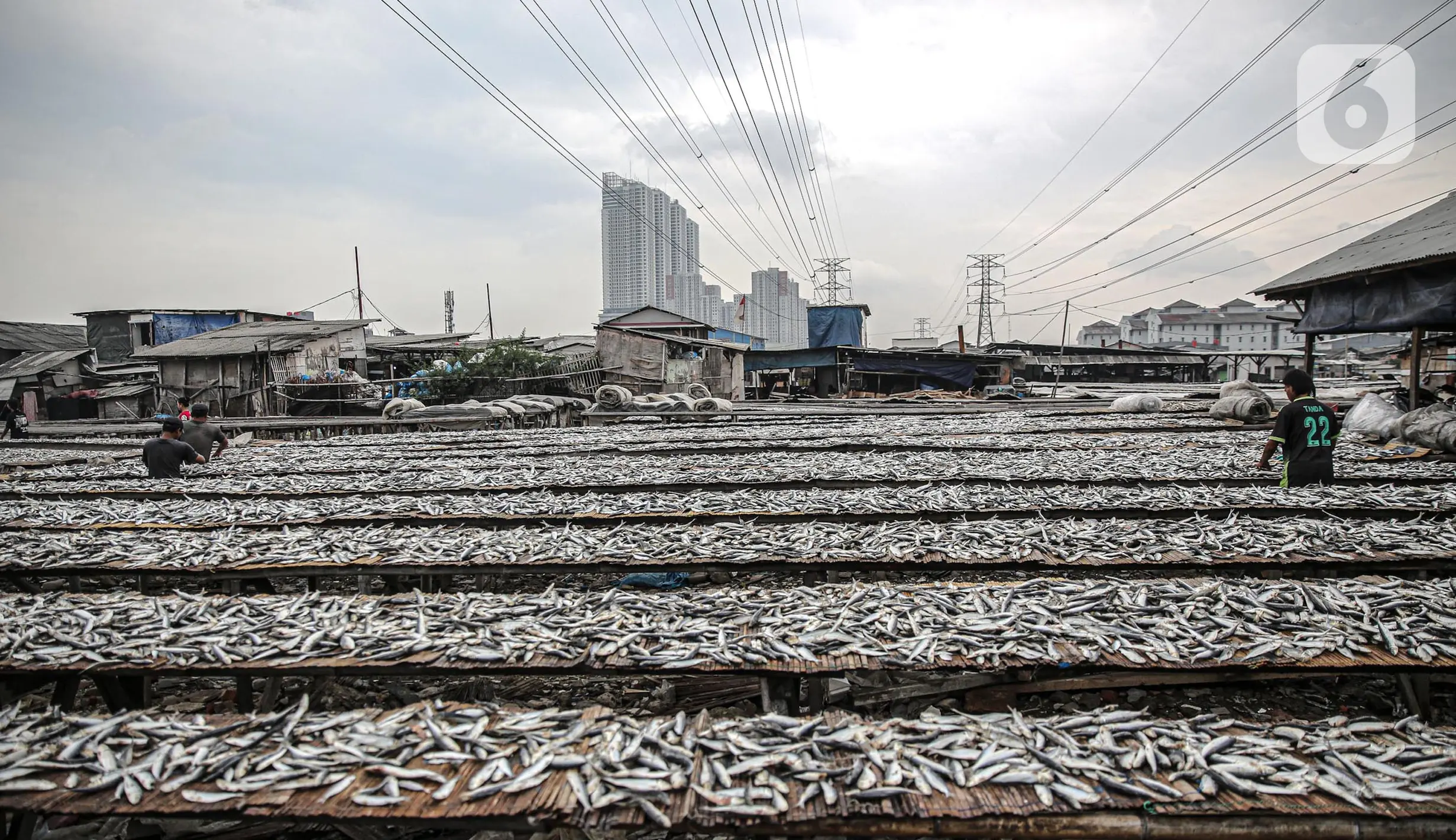 Musim Penghujan, Produksi Ikan Asin Alami Penurunan - Foto Liputan6.com