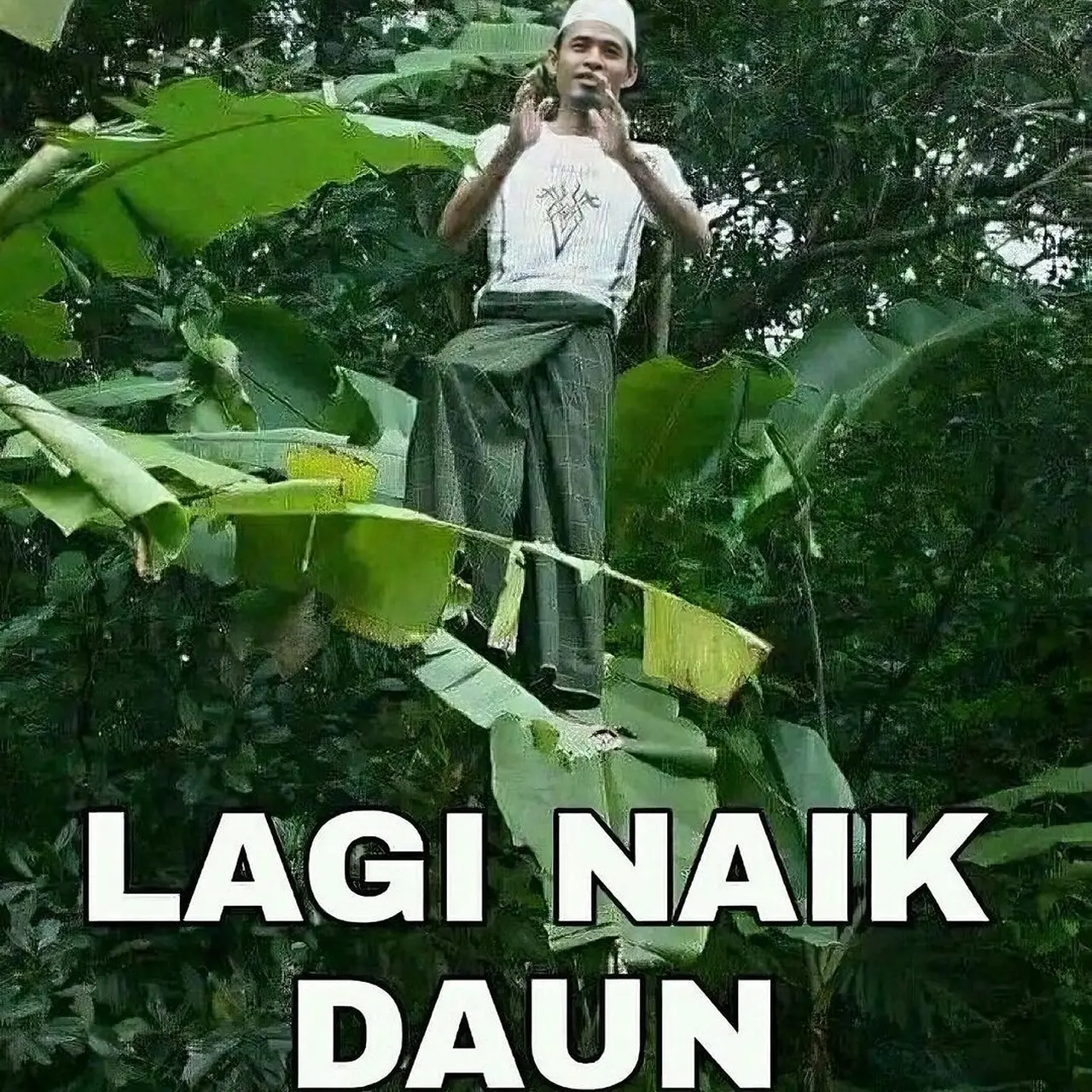 10 Meme Benar Tapi Salah Ini Bikin Geleng Kepala, Kocak Banget - Hot ...
