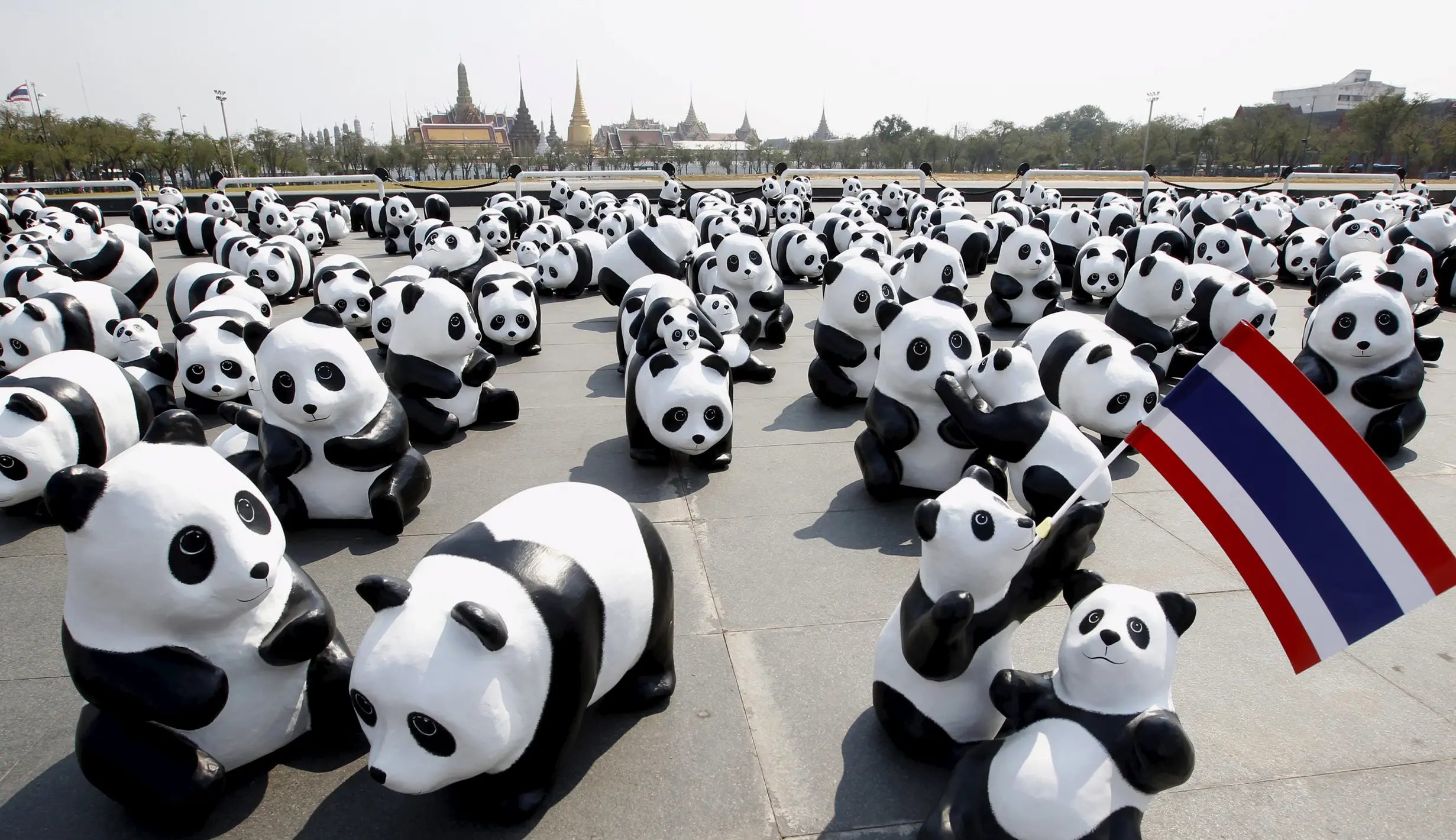 Heboh, Ribuan Panda Serbu Istana Thailand - Foto Liputan6.com