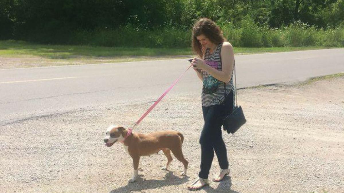 Penampungan Hewan Ini Ajak Relawan Main Pokemon Go Bersama Anjing