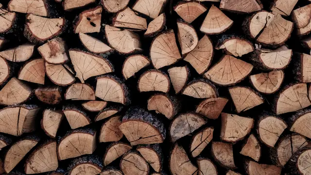 12 Arti Mimpi Seputar Kayu yang Wajib Anda Ketahui - Ragam Bola.com