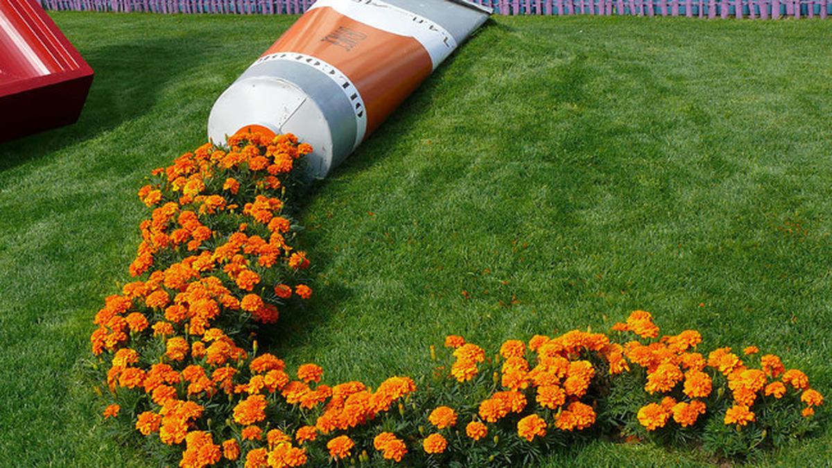 Inilah Tren Bunga ‘Tumpah’ dari Pot