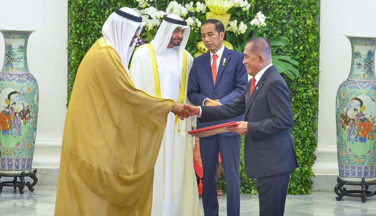 FOTO: Jokowi dan Putra Mahkota Abu Dhabi Gelar Pertemuan Bilateral di ...