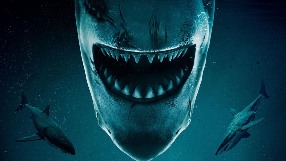 6 Karakter Penting Film No Way Up, Tragedi Pesawat Jatuh ke Laut Lepas ...