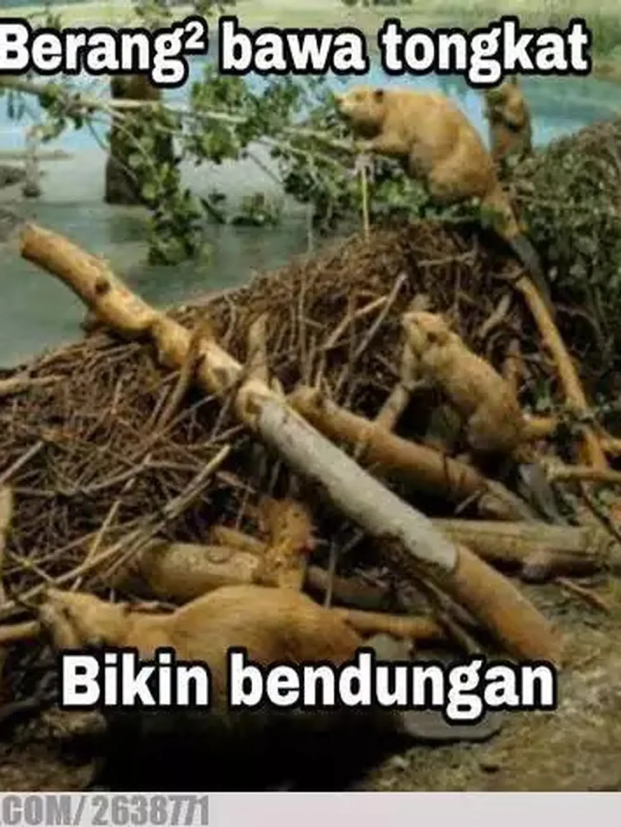6 Meme Pantun Tidak Nyambung Bikin Dahi Berkerut, Mikir Dulu Sebelum ...